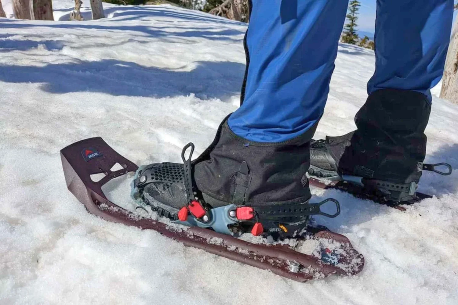 6 Best Snowshoes of 2026 (Tested and Reviewed)