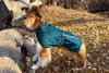 6 Best Cold Weather Coats and Jackets for Dogs of 2026 (Tested)