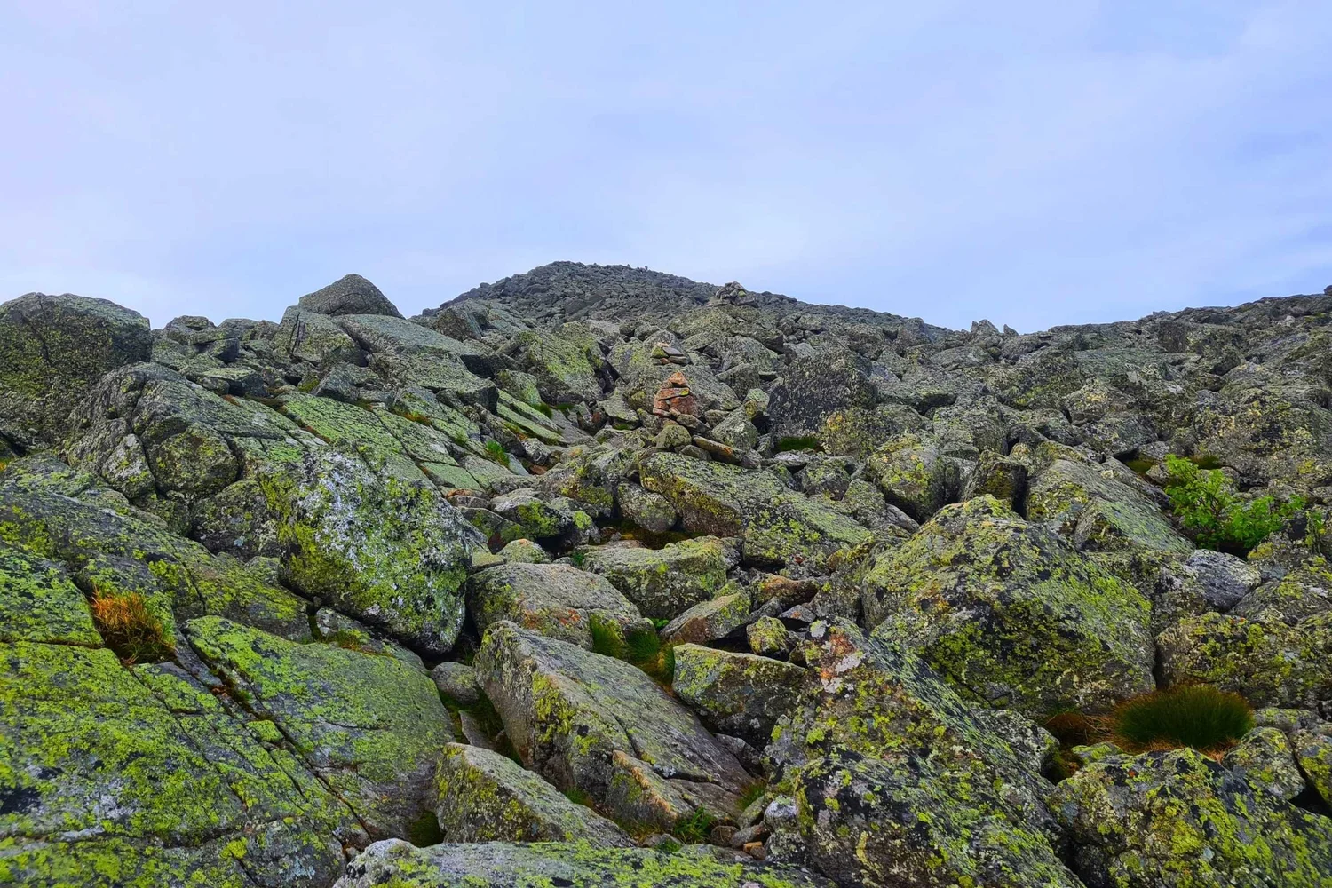 The Presidential Traverse Hiking, Backpacking, and Trail Running Guide