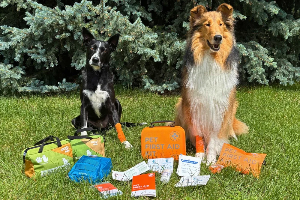 4 Best Dog First Aid Kits of 2025 (Field-Tested)