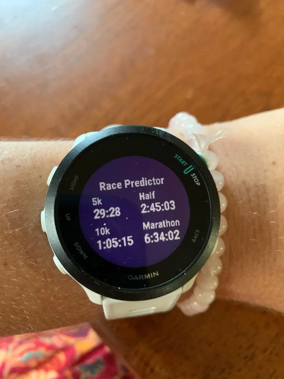 Garmin Forerunner 55 GPS Watch Review