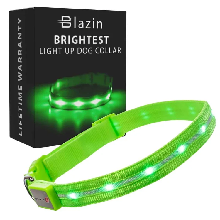 4 Best Light-Up Dog Collars of 2026 (Tested)