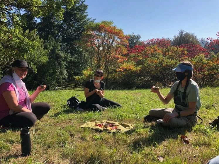 Getting Started With Forest Bathing