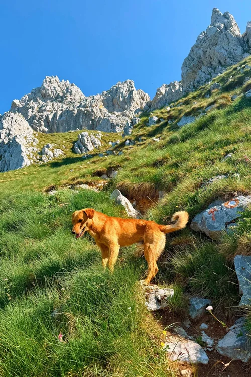 Thru-hiking the Via Dinarica White Trail in the Balkans