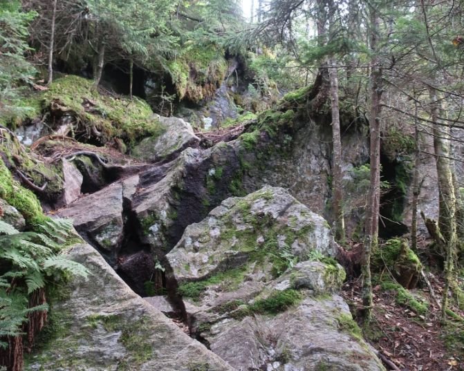 The Long Trail in Vermont Backpacking Guide