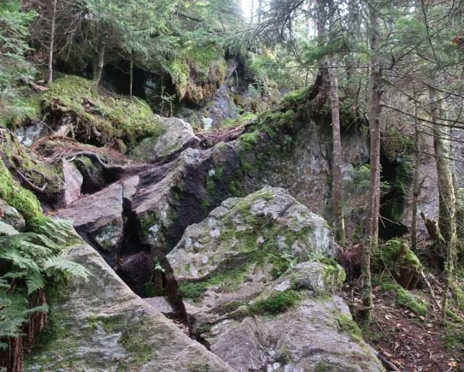 The Long Trail in Vermont Backpacking Guide