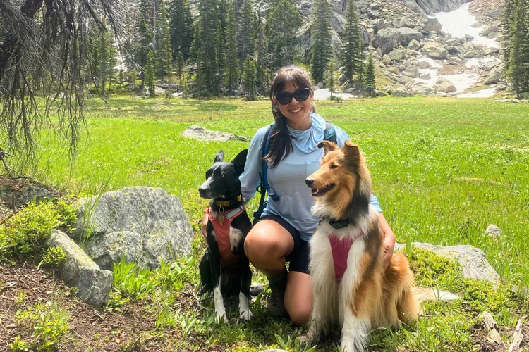 Hiking with Dogs: A Complete Guide to Safe and Fun Trail Adventures
