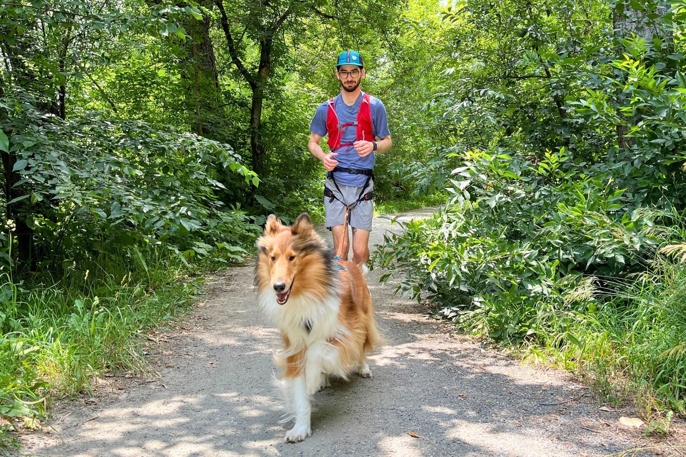 A Complete Guide to Running with Your Dog: Tips, Gear, and Training Advice