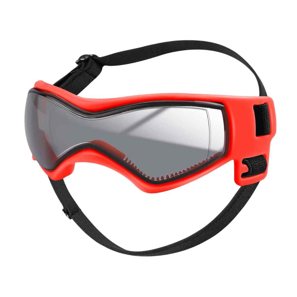 5 Best Dog Goggles of 2026 (Tested and Reviewed)