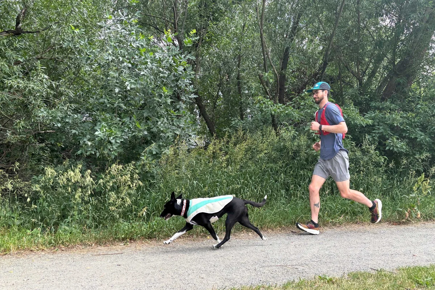 A Complete Guide to Running with Your Dog: Tips, Gear, and Training Advice