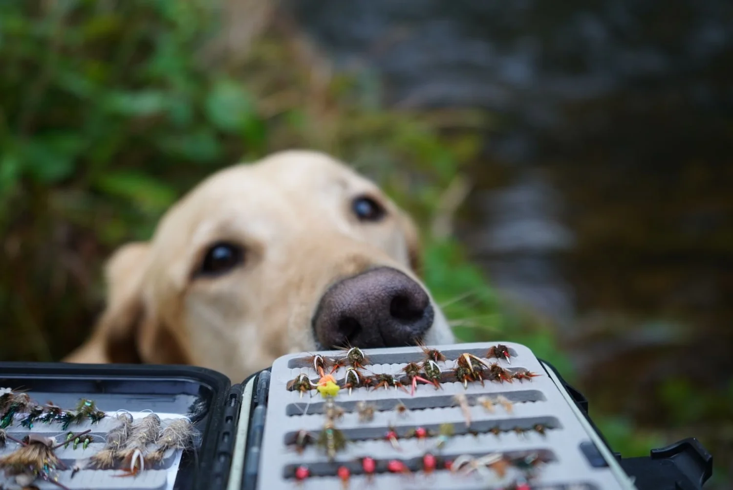 Fly Fishing Accessories Checklist