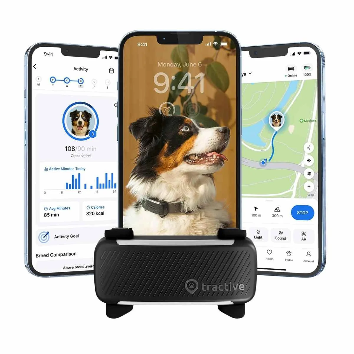 7 Best GPS Dog Collars of 2026 (Tested and Reviewed)