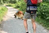 A Complete Guide to Running with Your Dog: Tips, Gear, and Training Advice
