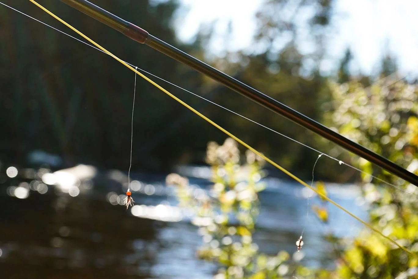 The Best Indicators for Fly Fishing of 2023 — Treeline Review