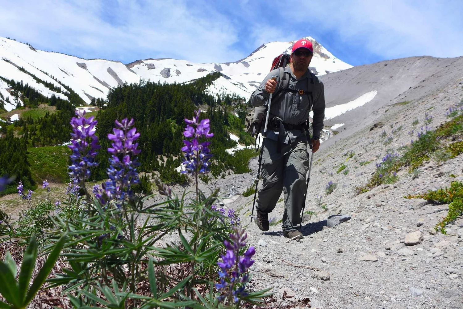 Timberline Trail Backpacking and Thru-Hiking Guide 2025