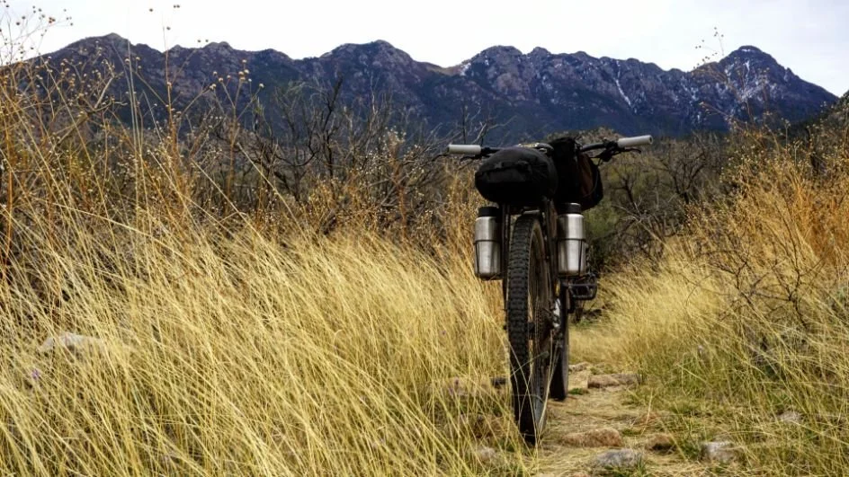 Best Bike Water Bottle Holders of 2023 — Treeline Review