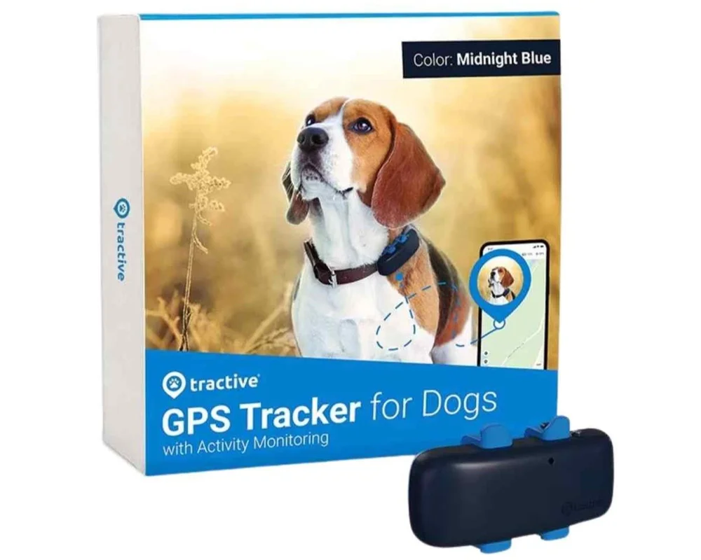 4 Best GPS Dog Collars of 2026 (Tested & Reviewed)
