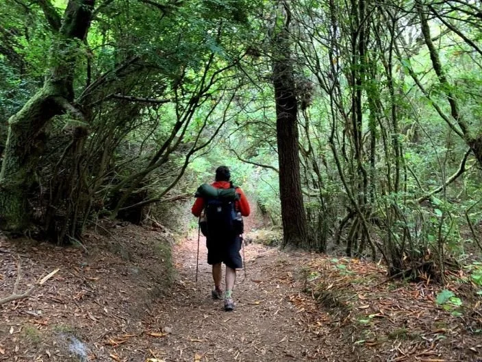 Oregon Coast Trail Backpacking and Thru-hiking Guide