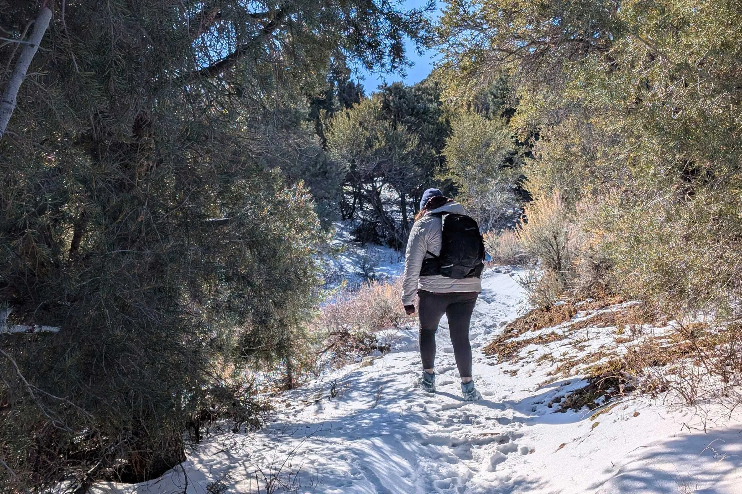 Osprey Talon & Tempest Technical Packs Review (Tested)