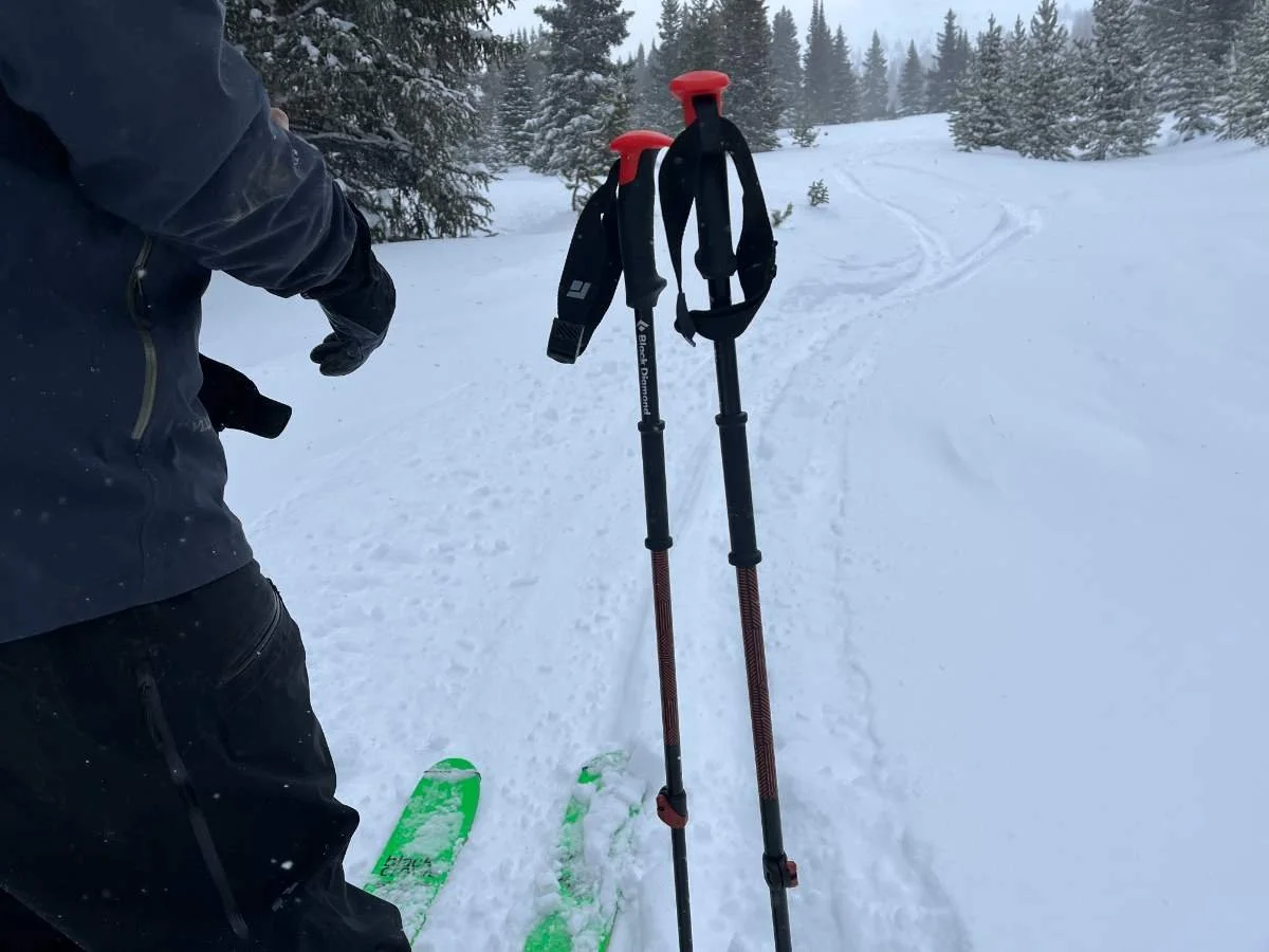 6 Best Ski Poles of 2025 (Tested and Reviewed)