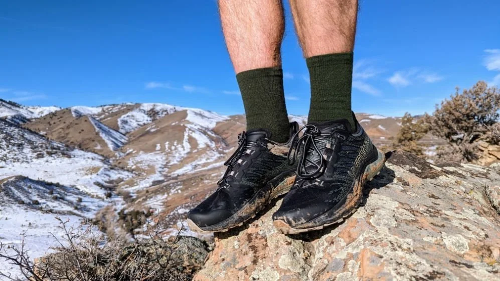 Trail Running Shoes vs Hiking Shoes