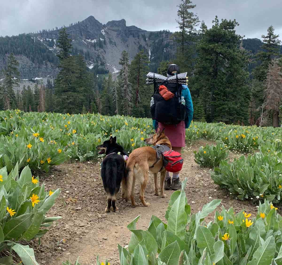 ULA Circuit Backpacking Backpack Long-Term Review