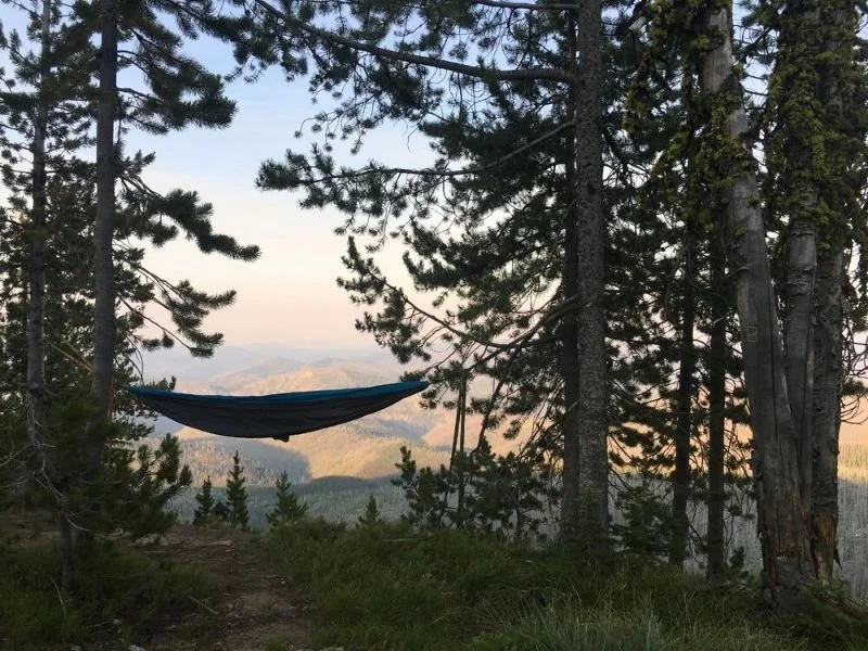 4 Best Camping Hammocks of 2026 (Field-Tested)