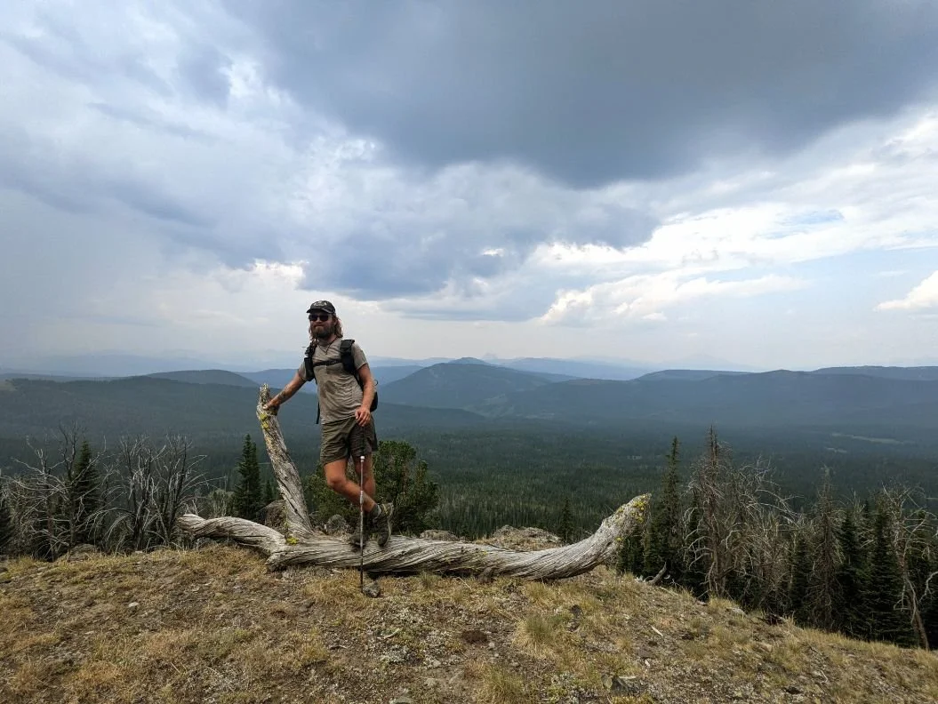 Best Men's Trail Running Shoes — Treeline Review