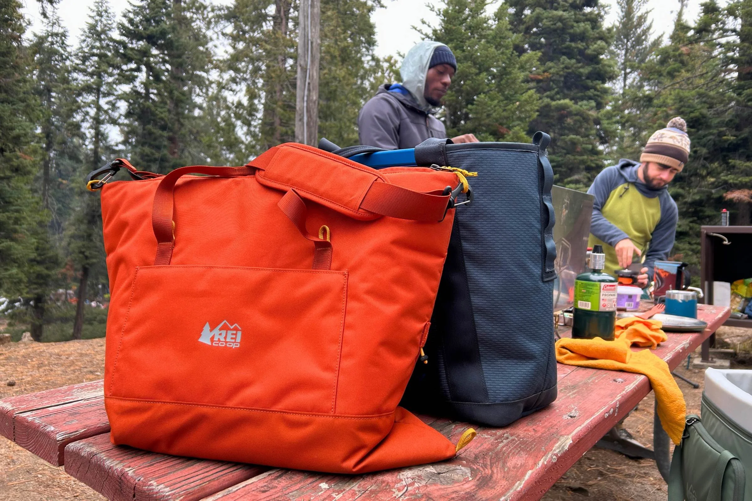 REI Co-op Campwell 18L Folding Cooler Review (Tested)