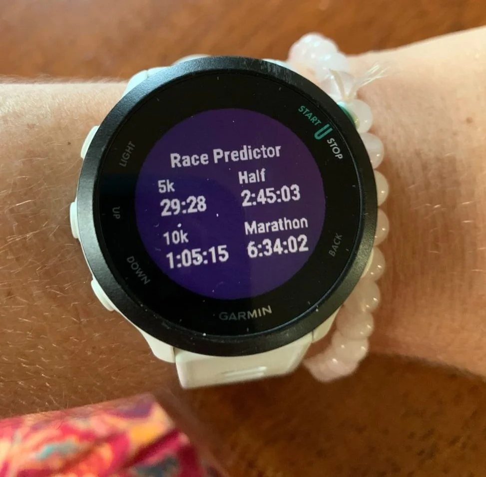 Garmin Forerunner 55 GPS Watch Review