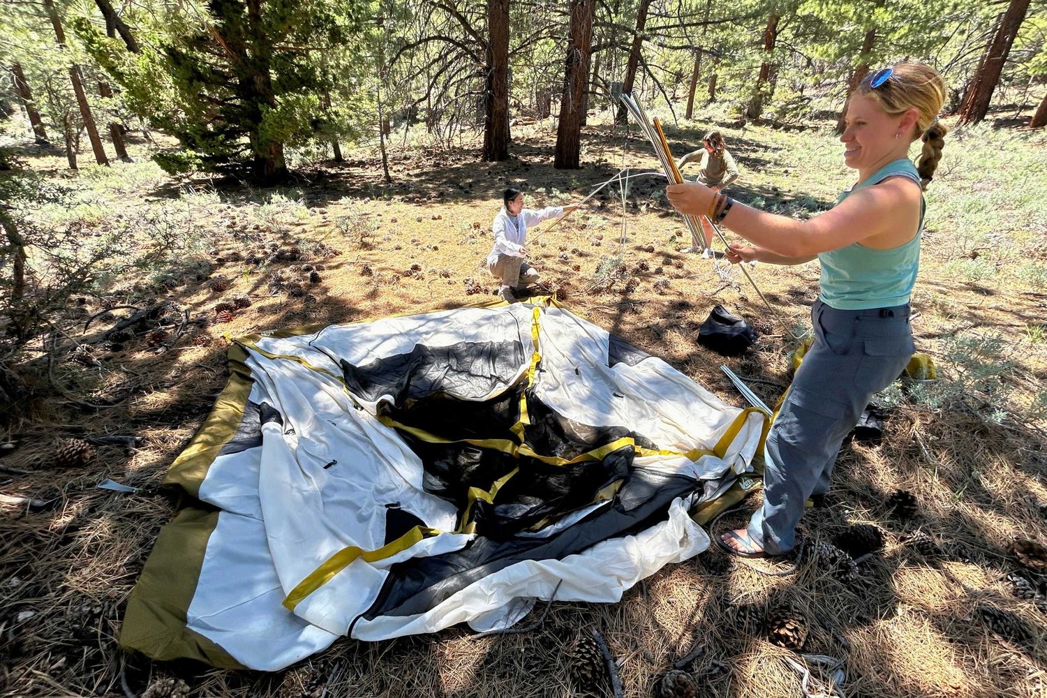 REI Co-op Base Camp Tent Review