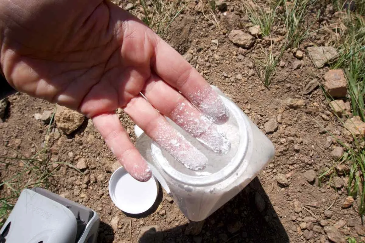 7 Best Climbing Chalks of 2024 (Field-Tested)