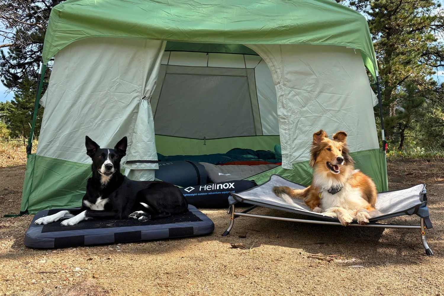 6 Best Camping Dog Beds of 2025 (Field-Tested)