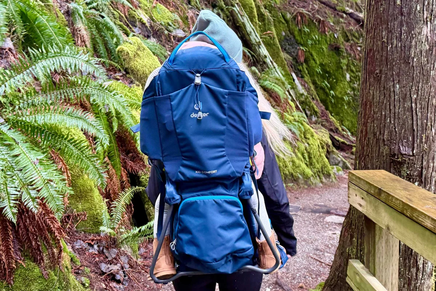 Deuter Kid Comfort Child Carrier Review: A Comfortable and Supportive ...