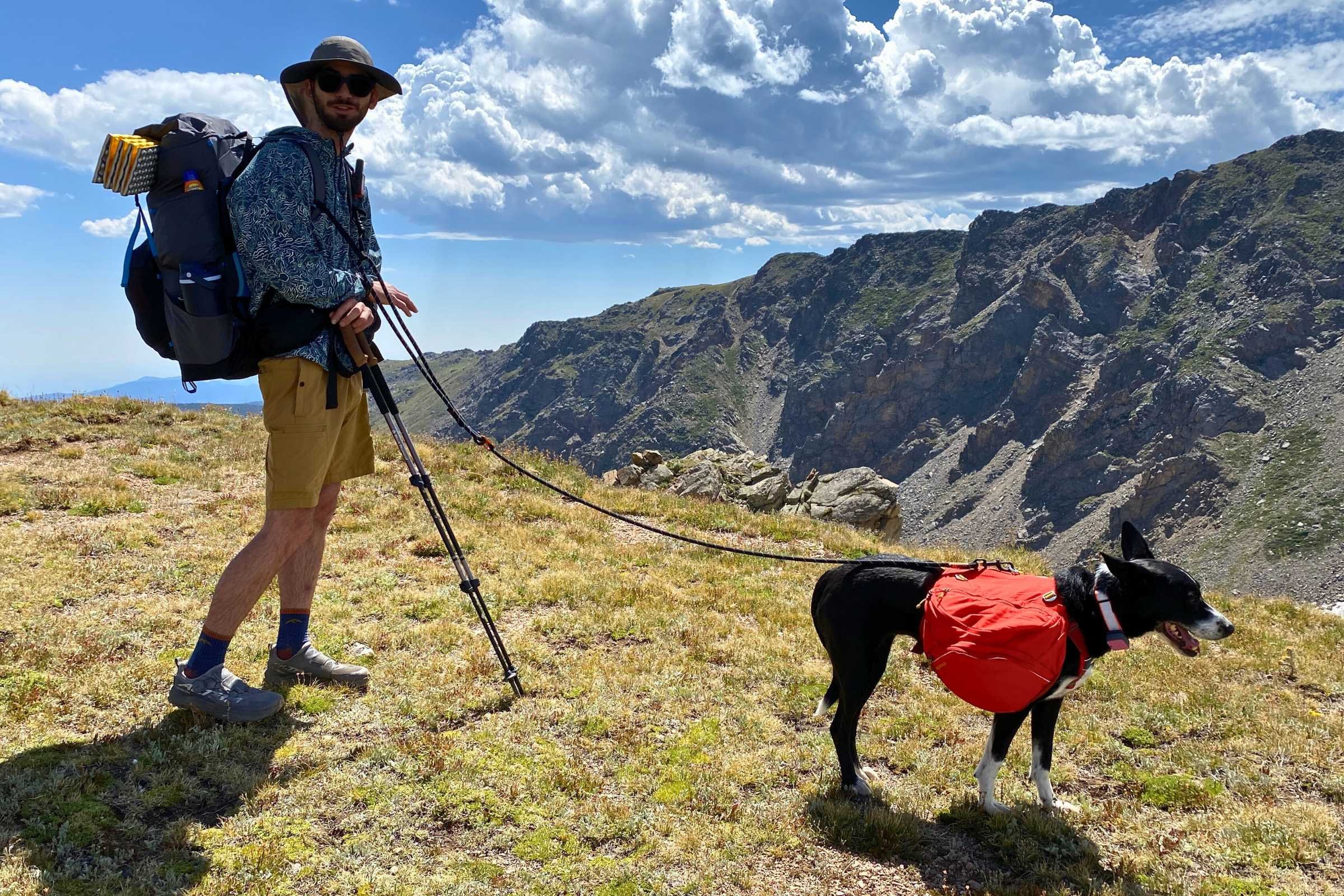 Hiking with Dogs: A Complete Guide to Safe and Fun Trail Adventures