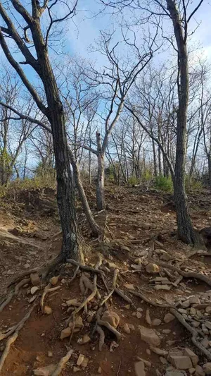 Hiking and Thru-hiking Guide to the New England Trail (NET)