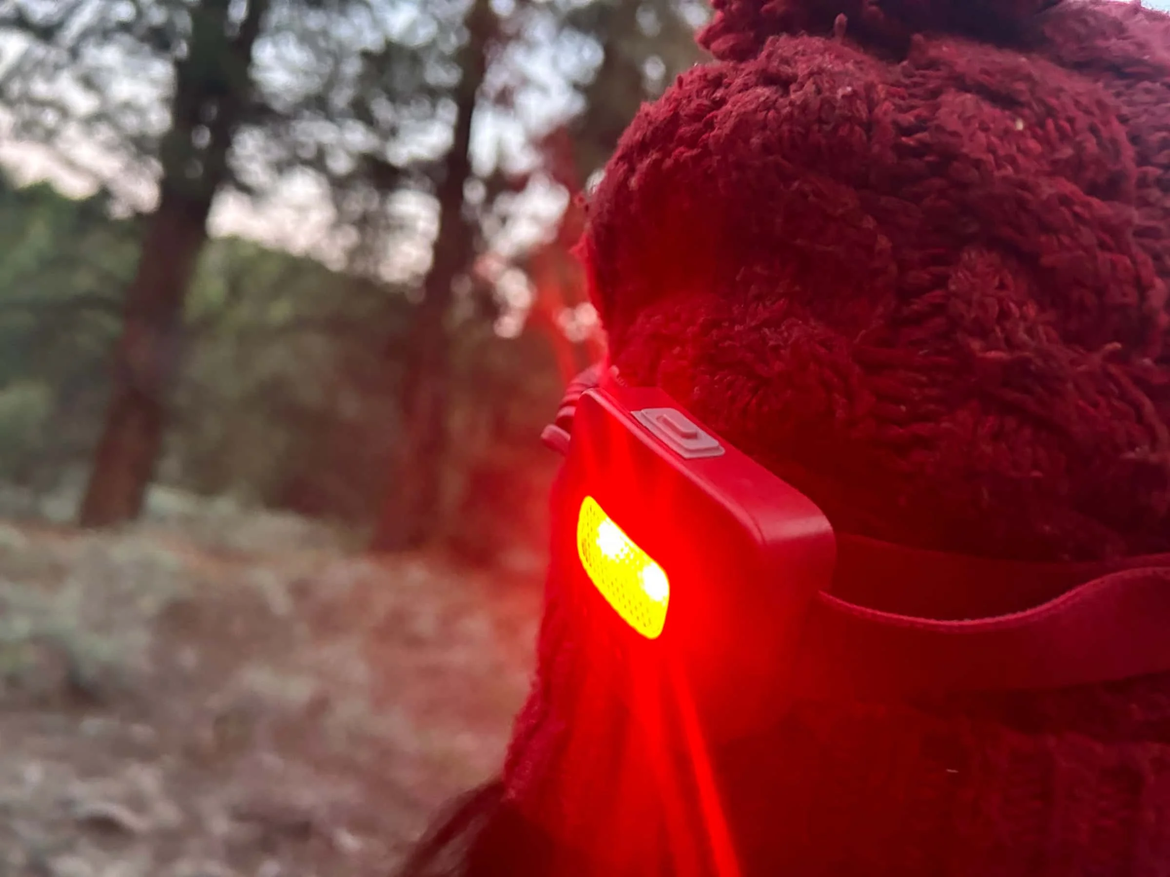 9 Best Running Lights of 2025 (Tested & Reviewed)