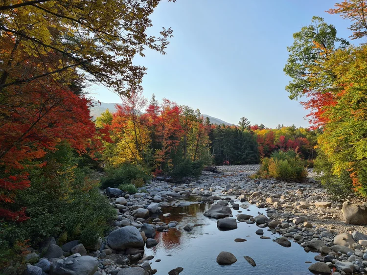 Pemigewasset Loop (Pemi Loop) Hiking and Backpacking Guide