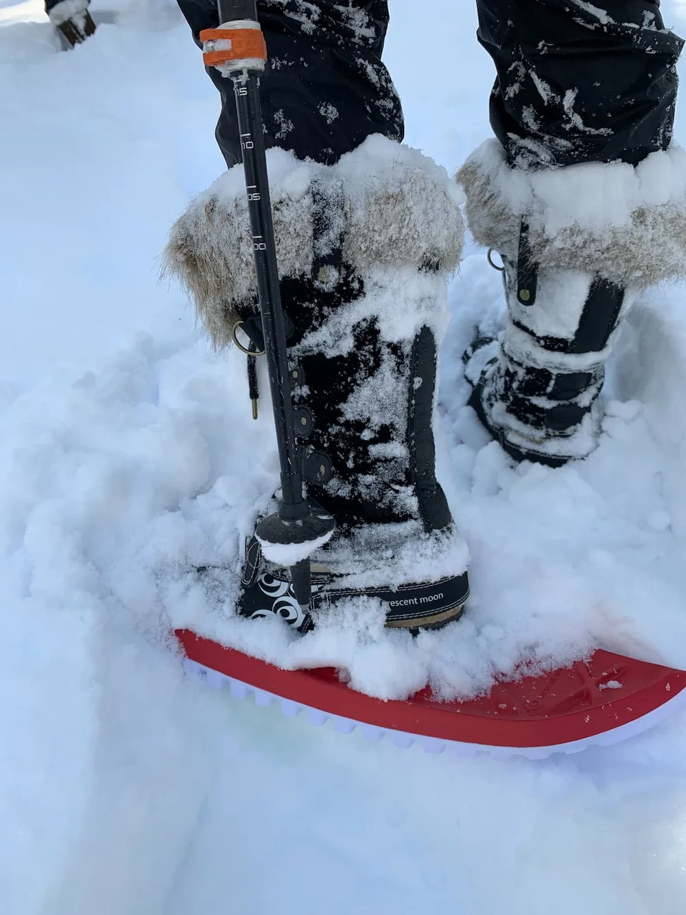 Sorel Joan of Arctic Winter Boots Review