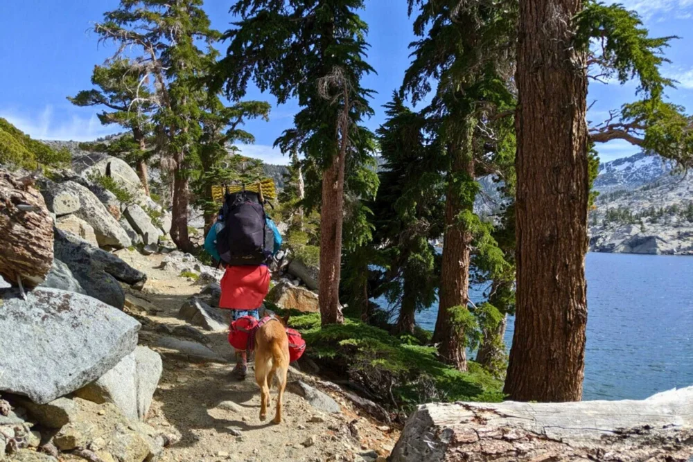 ULA Circuit and ULA Ultra Circuit Backpack Long-Term Review
