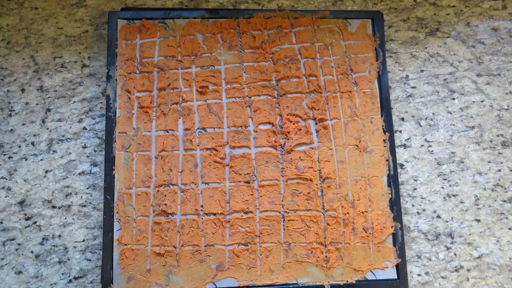 Best Dehydrators for Backpacking Meals of 2026