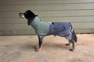 6 Best Cold Weather Coats and Jackets for Dogs of 2026 (Tested)