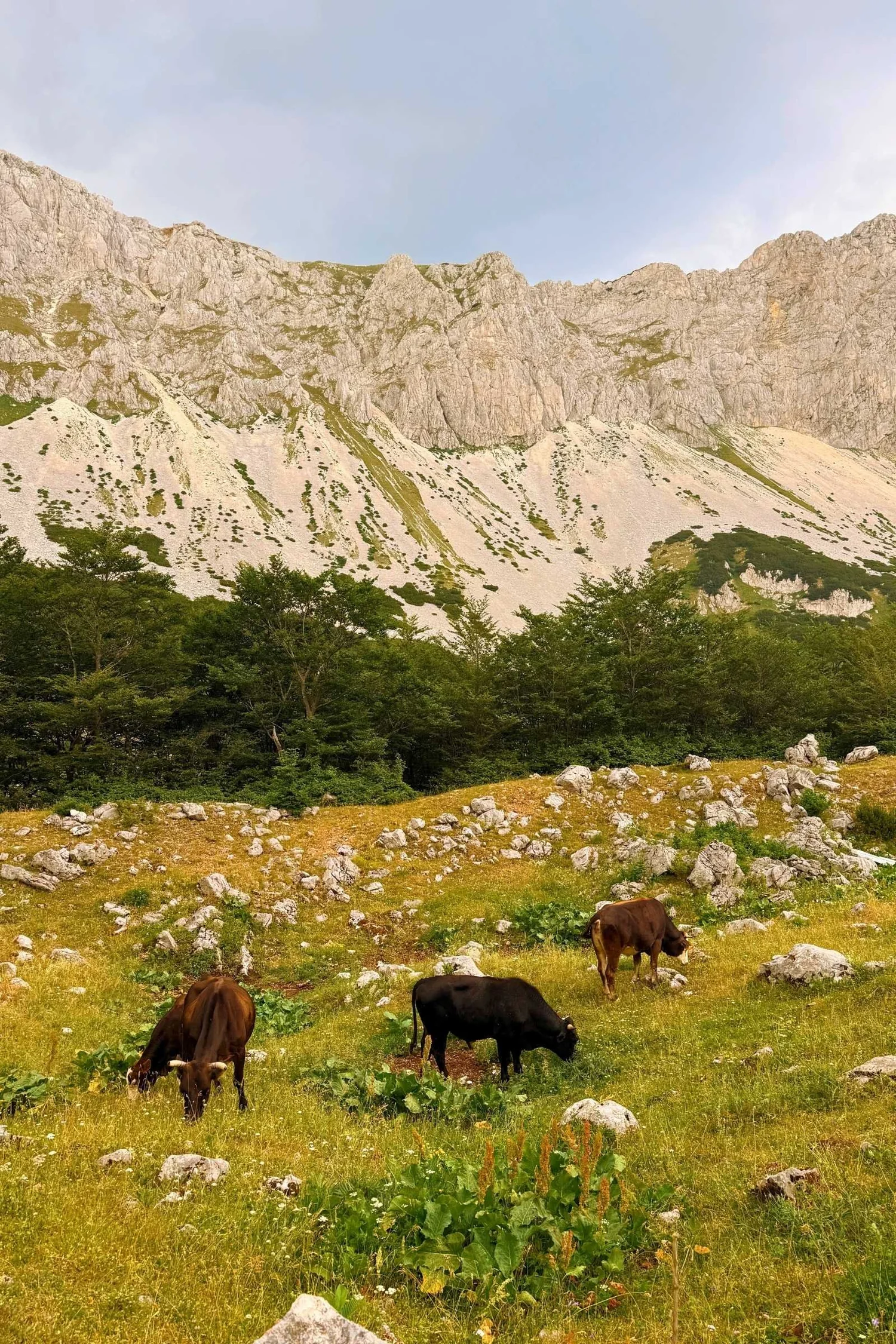 Thru-hiking the Via Dinarica White Trail in the Balkans