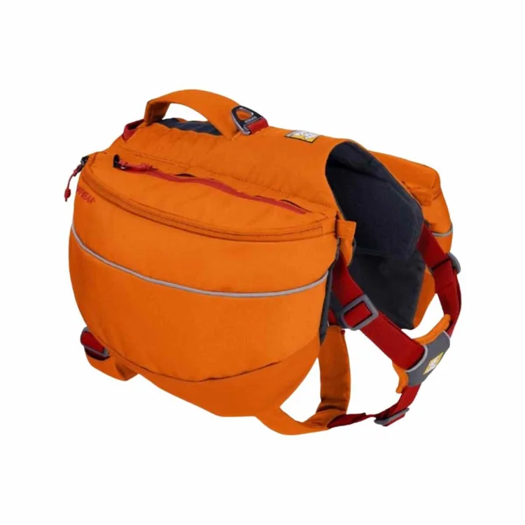 6 Best Dog Backpacks of 2026 (Field-Tested)