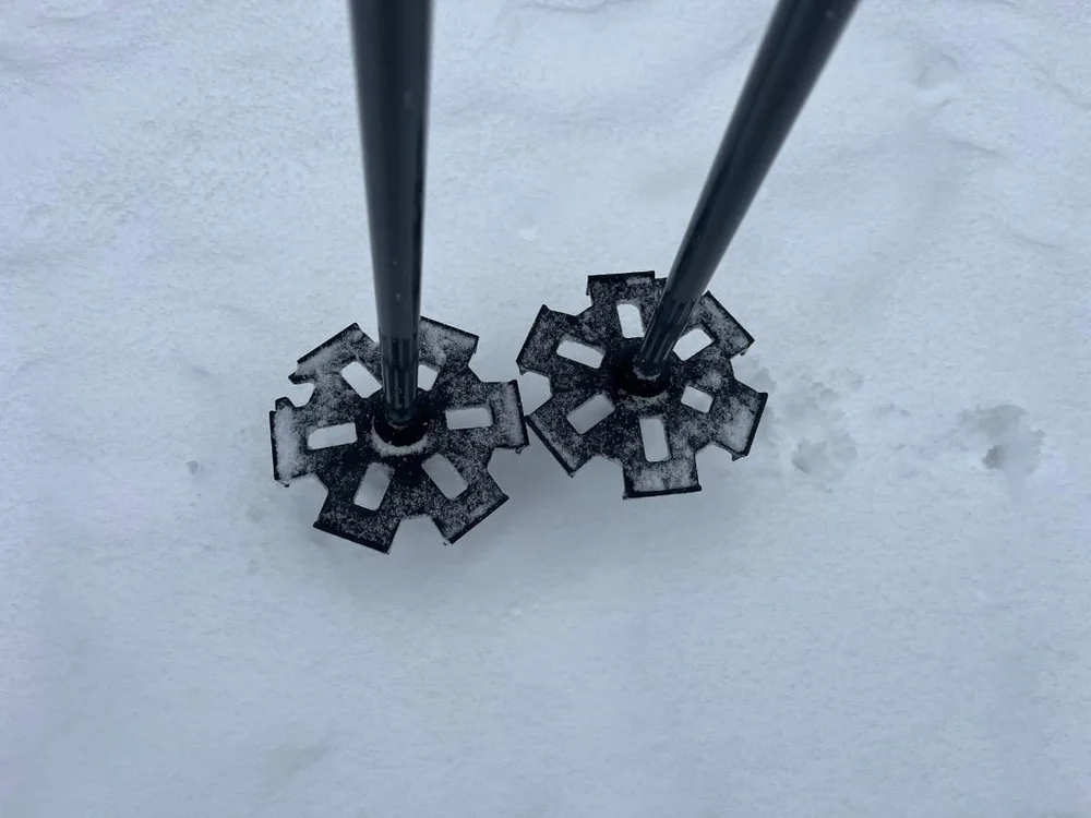 6 Best Ski Poles of 2025 (Tested and Reviewed)