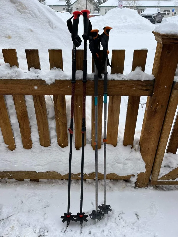 6 Best Ski Poles of 2025 (Tested and Reviewed)