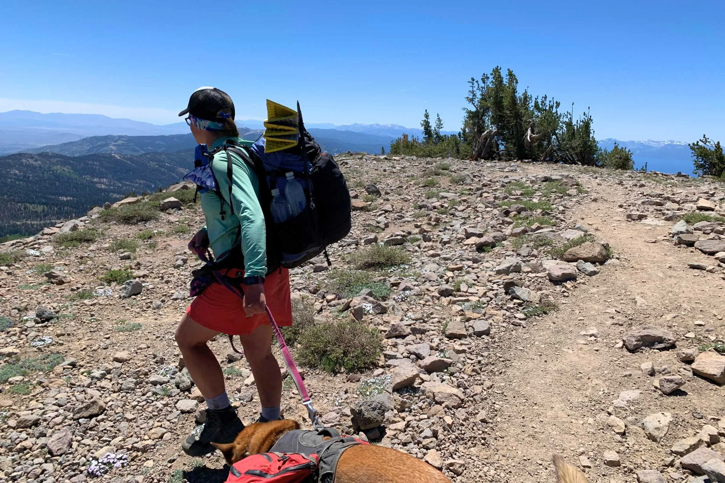 ULA Circuit and ULA Ultra Circuit Backpack Long-Term Review