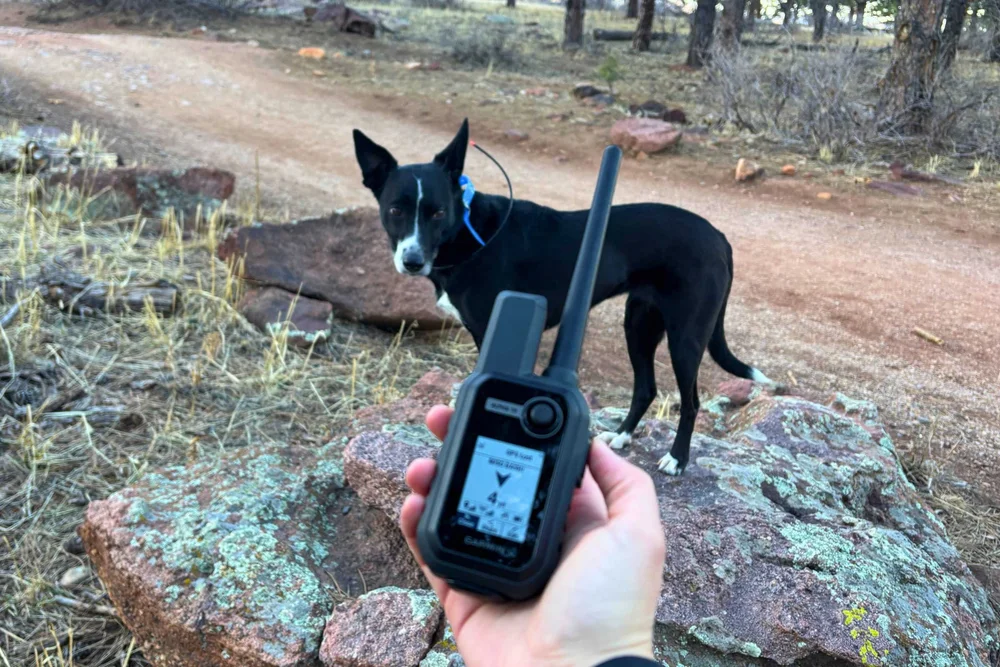 7 Best GPS Dog Collars of 2026 (Tested and Reviewed)