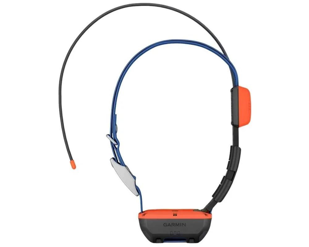 7 Best GPS Dog Collars of 2026 (Tested and Reviewed)