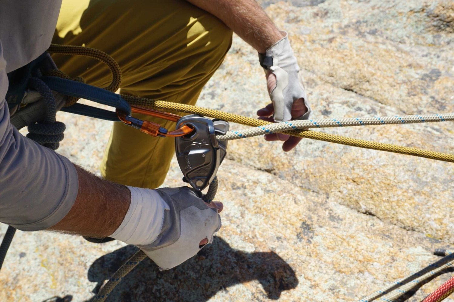 5 Best Belay Devices of 2025 (Tested & Reviewed)